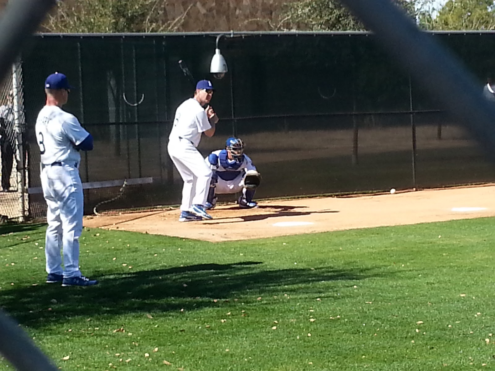 Dodger Penguin: Autographs of the Day : 2013 Dodger Spring Training ...